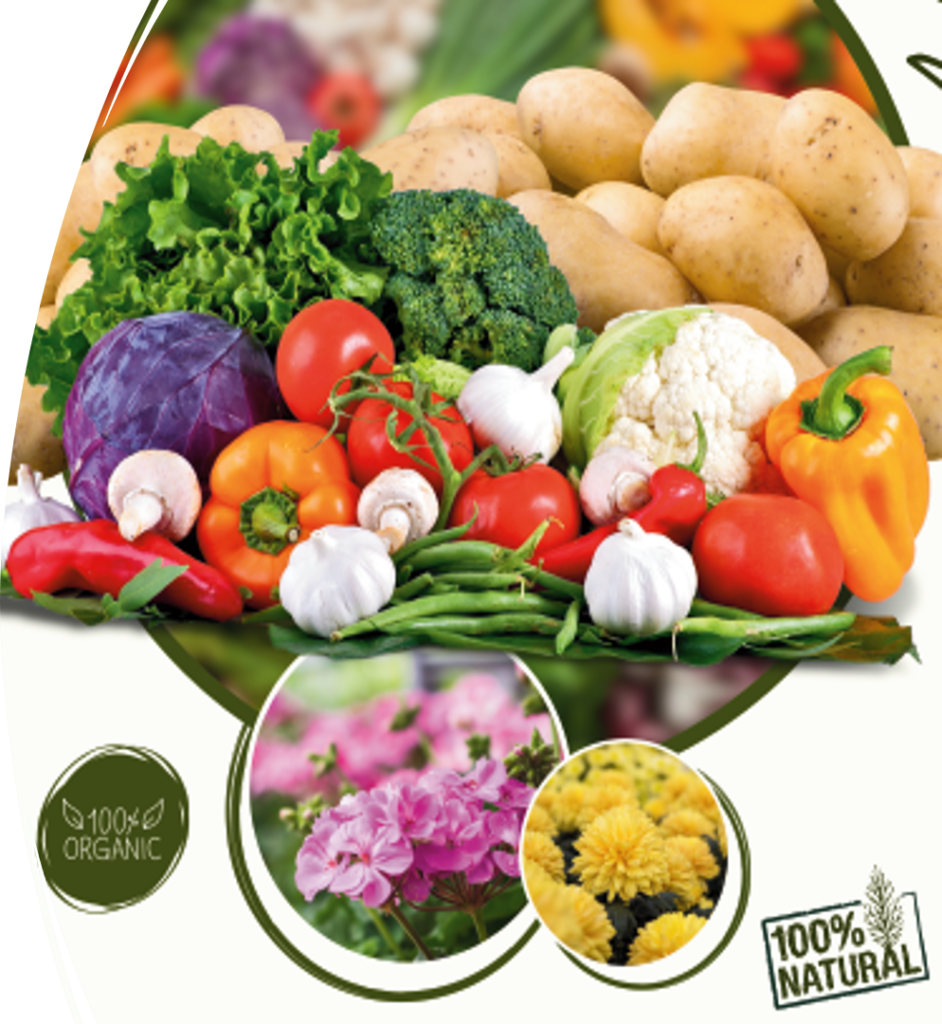 Spruzit® - Andermatt Romania